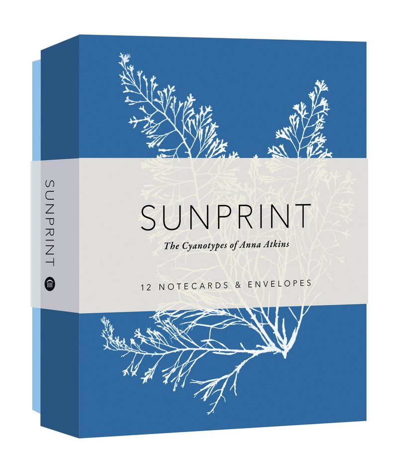 Sunprint Notecard Box - Lexis Papper