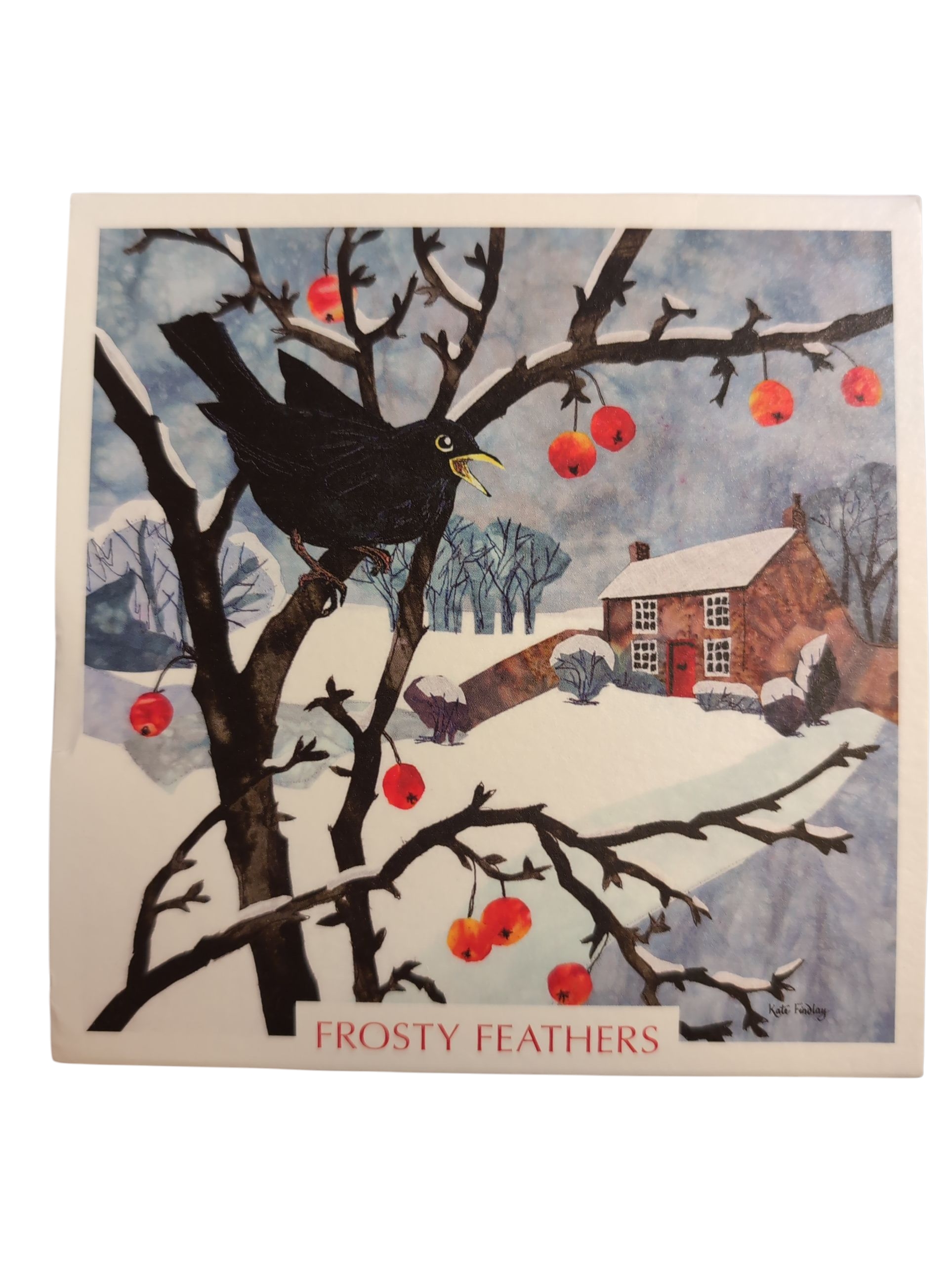 Frosty Feather by Kate Findlay Box of 20 Christmas Cards - Lexis Papper